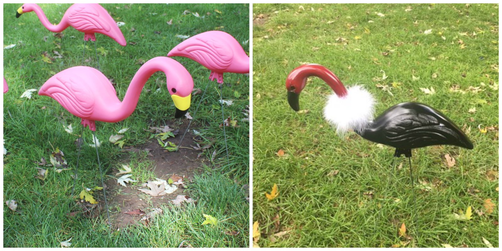 Easy DIY Vultures! - The (mis)Adventures of a Homesteadin' Mama