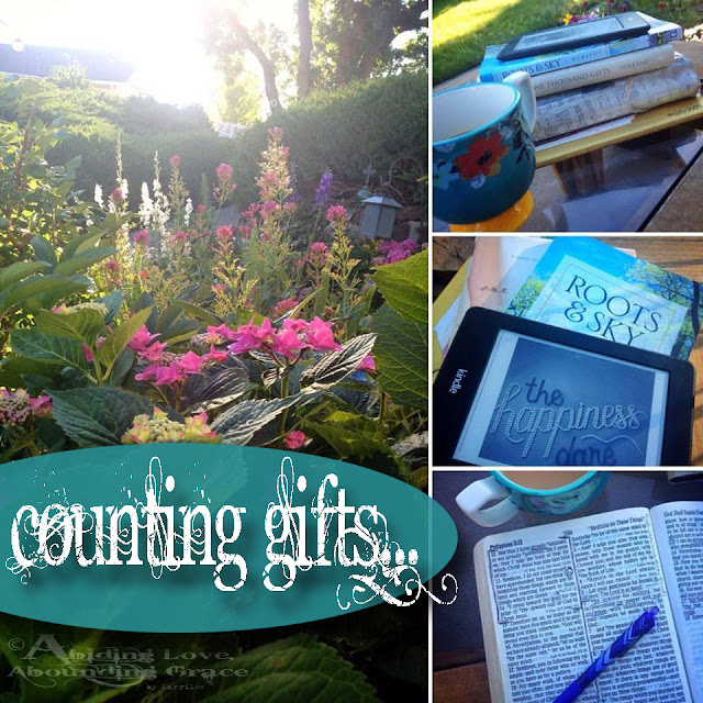 Abiding Love, Abounding Grace: Looking for Small Wonders and Counting ...