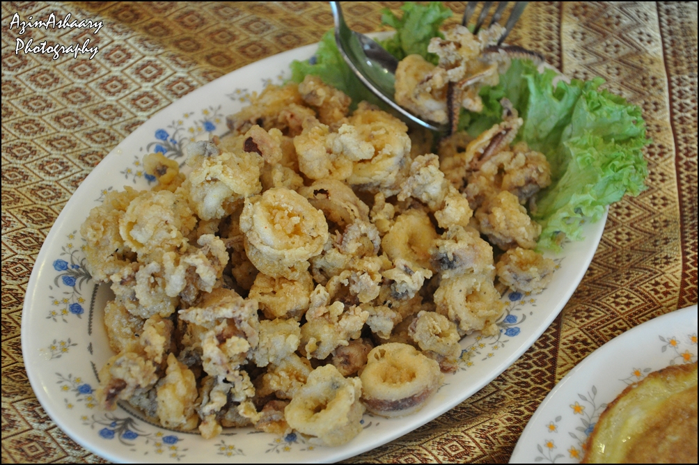 [A].[X].[I].[M].[U].[D]: FOOD REVIEW : PEN MUTIARA CURRY HOUSE, BATU ...