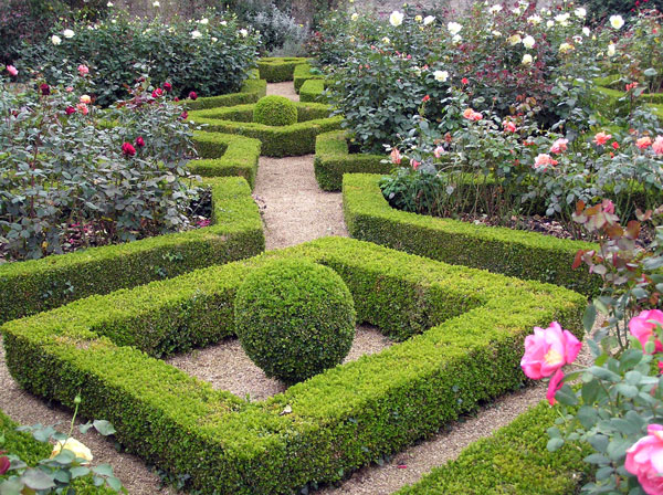 RAINBOW-TZ BLOG: PENDEZESHA NYUMBA YAKO KWA BUSTANI ZA MAUA