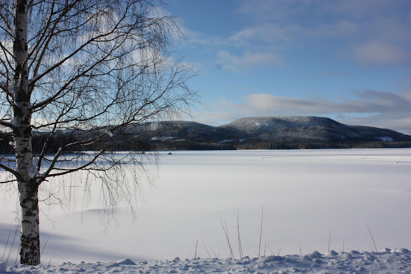 Mitt innersta i bilder !: Hassela