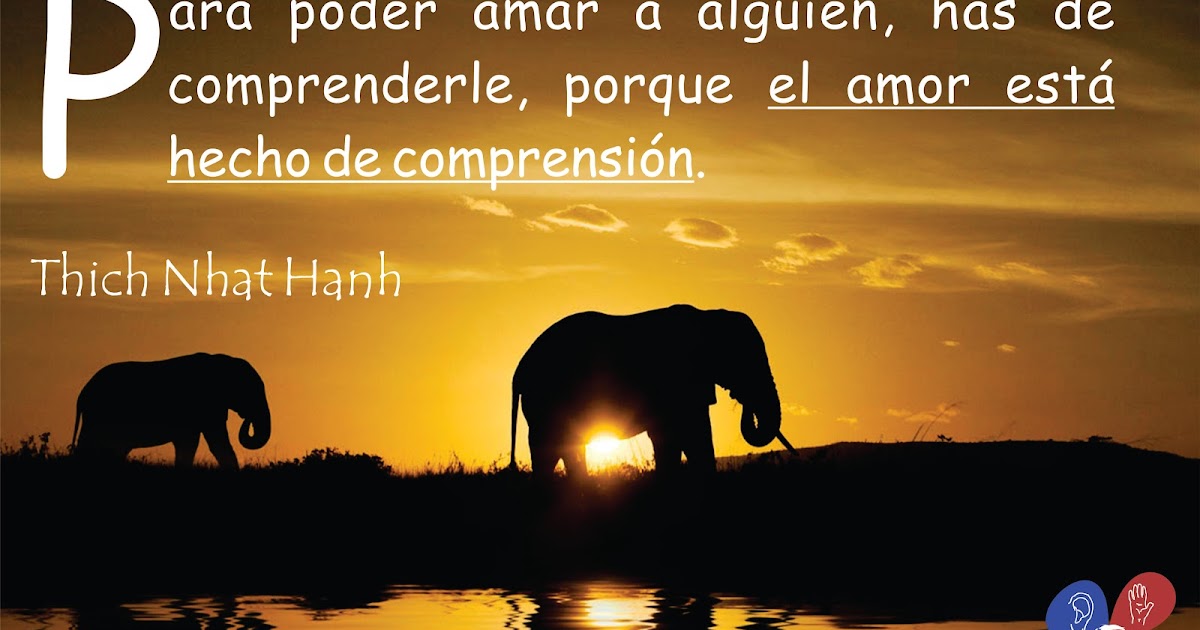 conSentido: EL AMOR ES COMPRENSIÓN