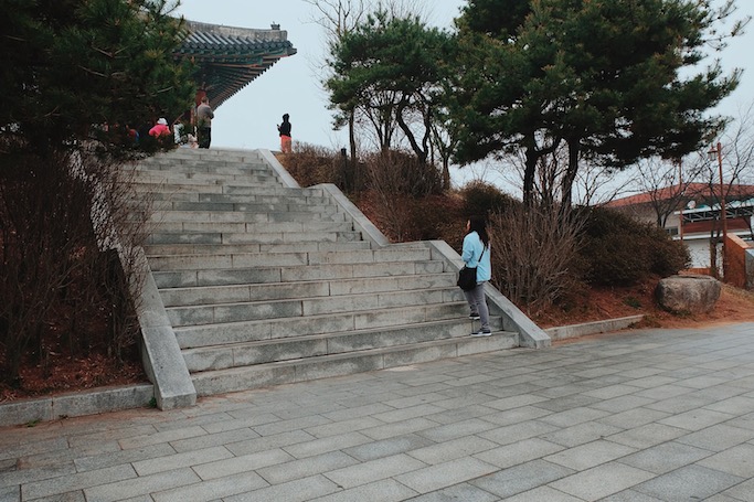 Anagon: Korea DMZ Tour