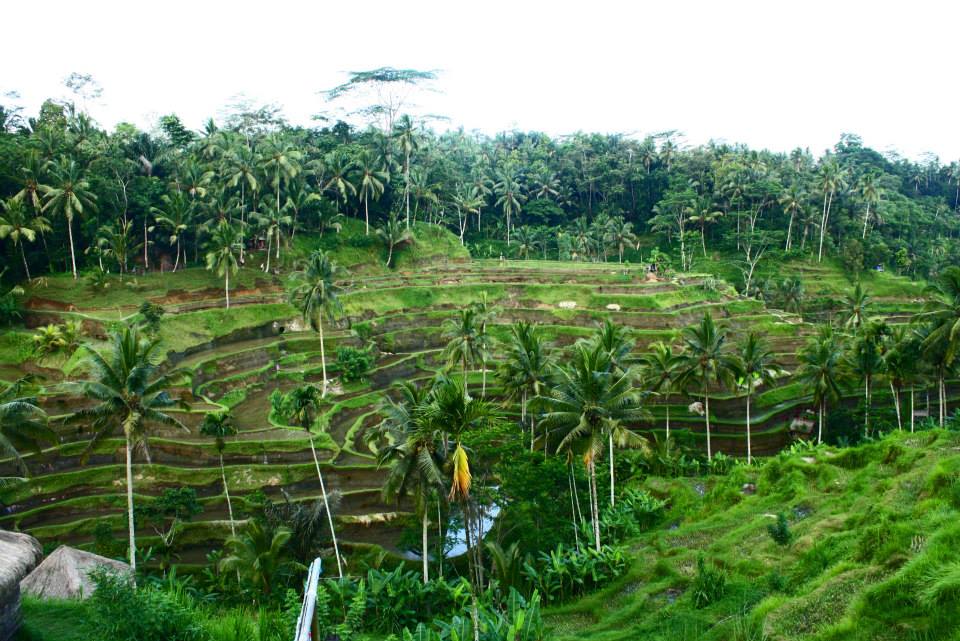 Bali Travel: Celuk Village, where the Gold and silversmiths live ...