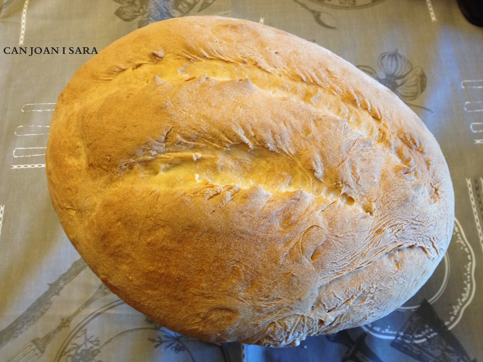 CAN JOAN I SARA: 03/01/2014 - 04/01/2014