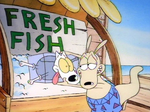 MC 'Toon Reviews: 'Toon Reviews 18: Rocko's Modern Life Season 1 ...