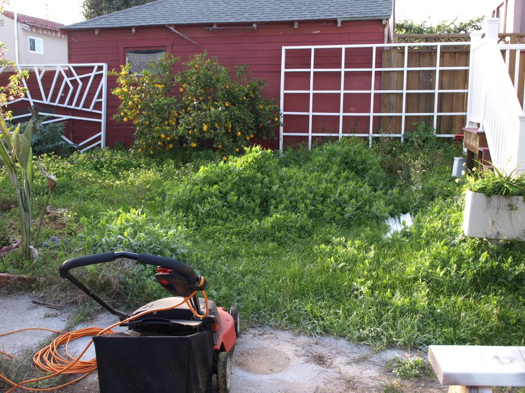 From Embarrassing to Respectable