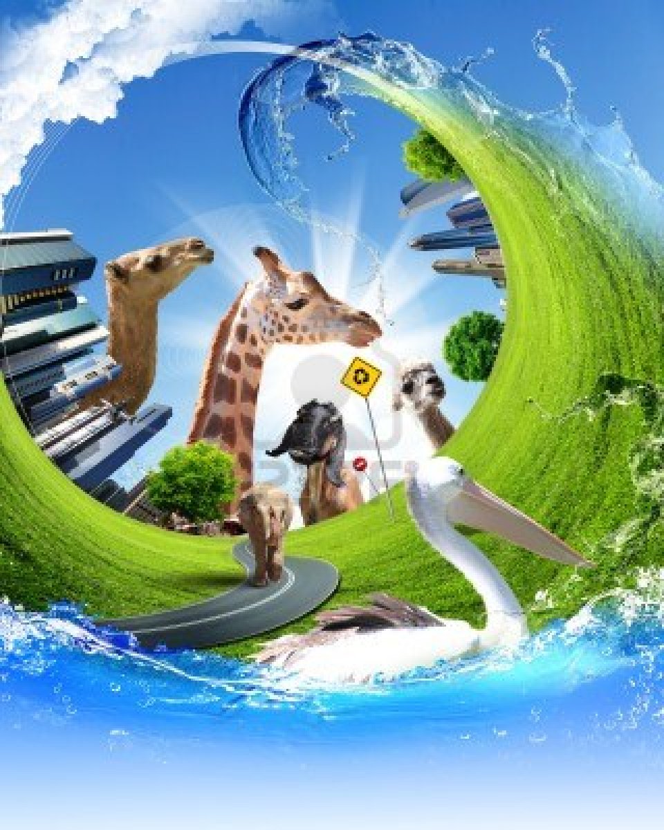 Ecologia Humana y Ambiental