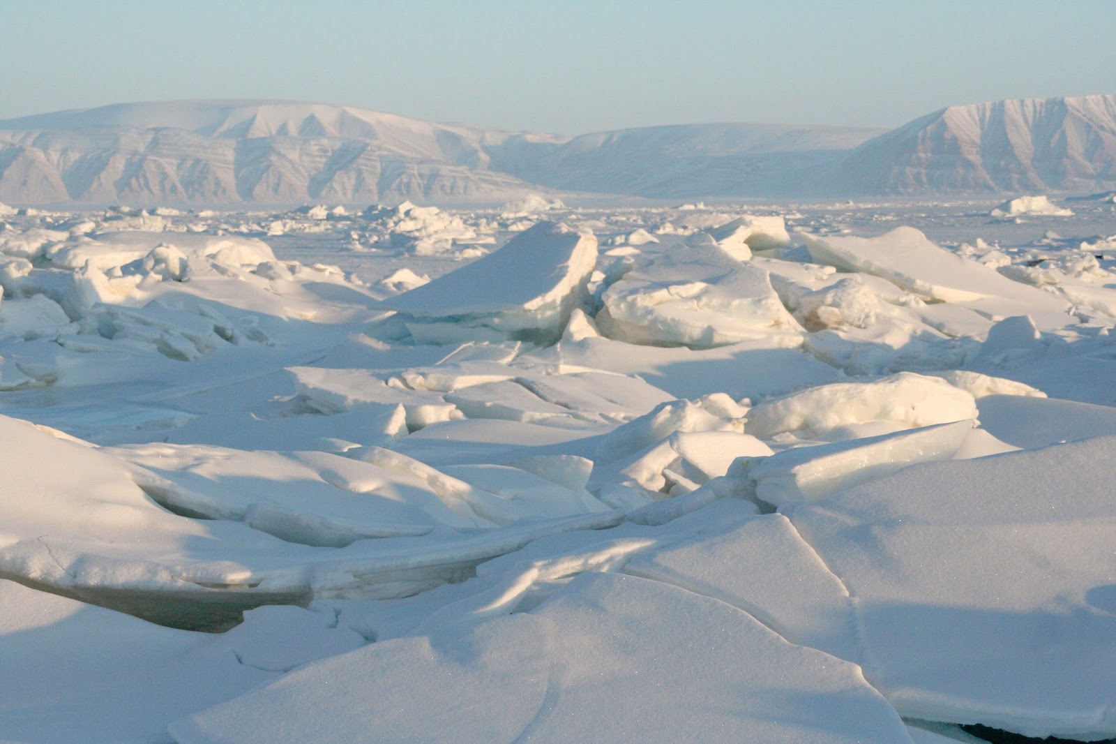 Geography Blog: What is the cryosphere?