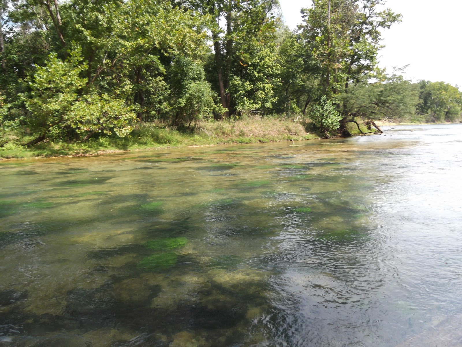 Ruthlynn's World: Trip to Big Spring