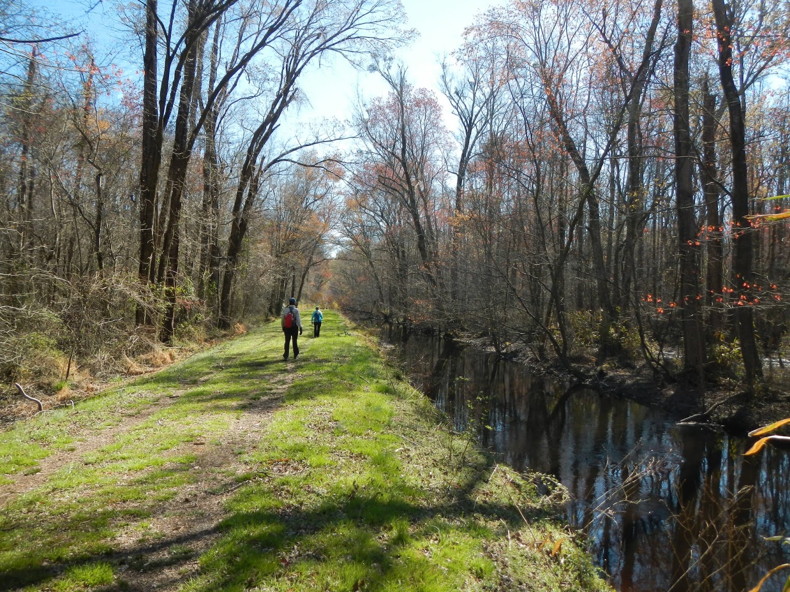 Oh To Be Hiking!: Group Hike in the Great Dismal Swamp