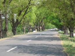 VACATION TO UDUMALPET: Udumalpet Attractions