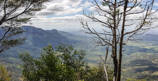 National Park Odyssey: Walks, Cunningham's Gap Section of Main Range ...