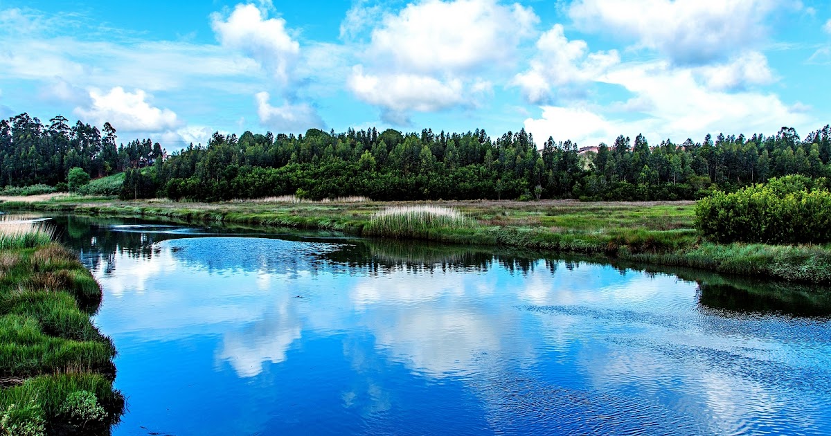 Mi Album de Fotos: VAGOS (Portugal).