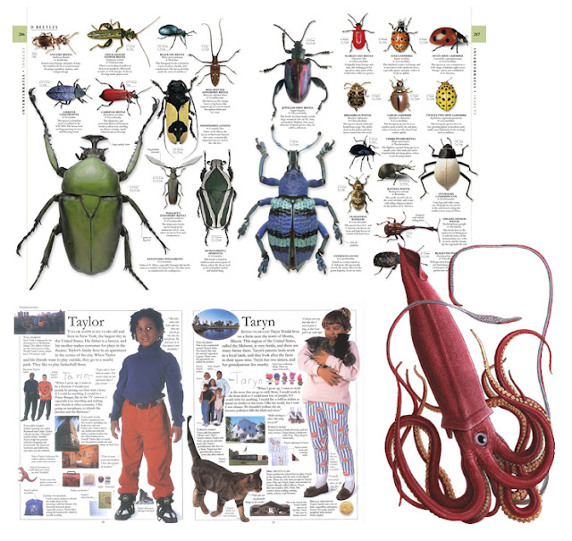 BILLY SAWYER - CHILDREN'S BOOK DESIGN: ART STYLES - INFORMATION ...