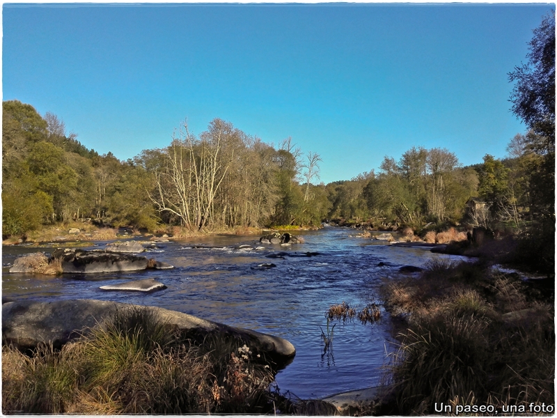 Un paseo,una foto: Bosque da Fervenza. O Corgo. Lugo
