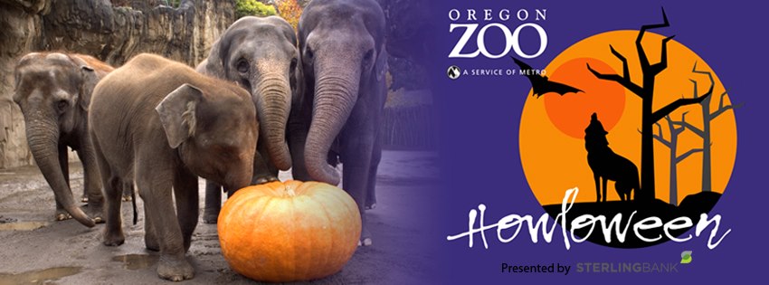 Eccentric Eclectic Woman: Oregon Zoo Participating in Boo At The Zoo ...