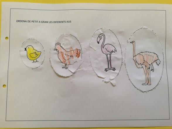 UN MUNDO EN EL AULA DE EDUCACIÓN INFANTIL: Unidad didáctica ''las aves''