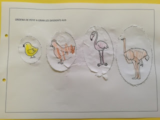 UN MUNDO EN EL AULA DE EDUCACIÓN INFANTIL: Unidad didáctica ''las aves''