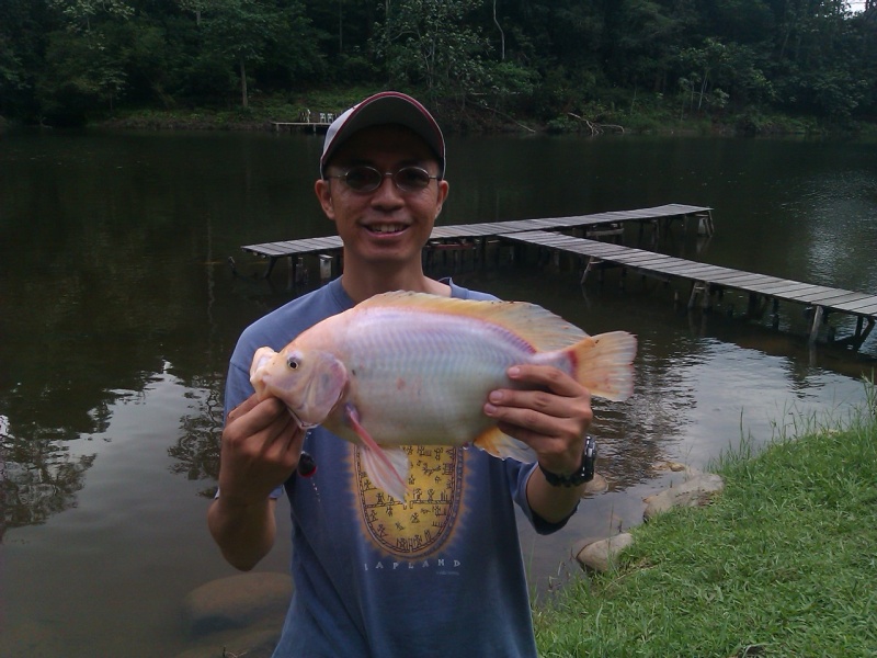 Tilapia Fishing - Part 1 | THE ANGLERS