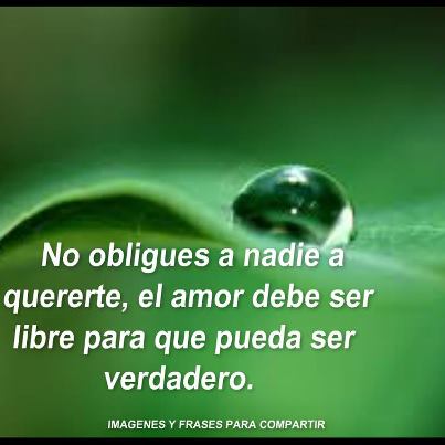 Imagen No Obligues A Nadie A Quererte | IMAGENES, FRASES, POEMAS, PARA ...