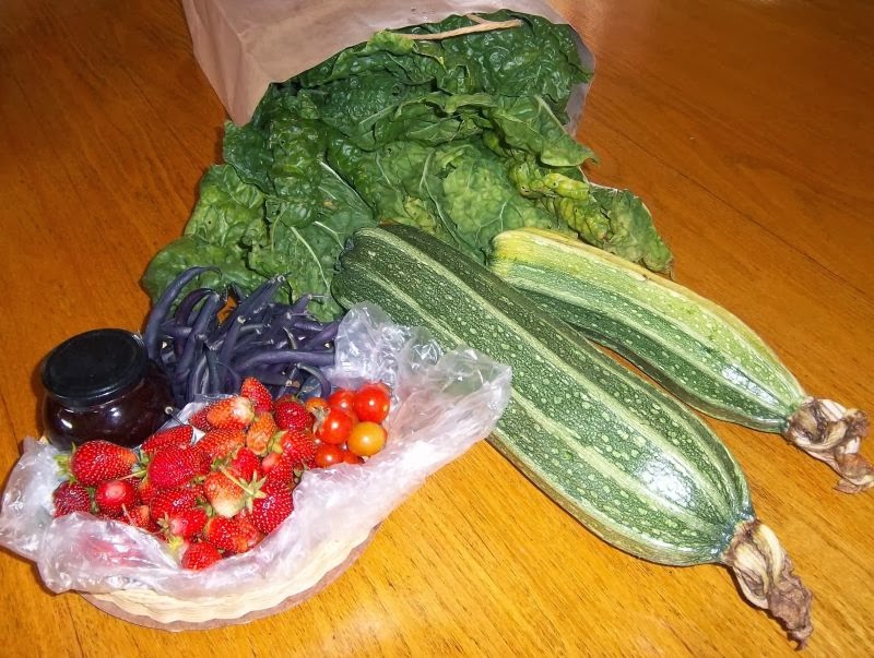 Eco Footprint ~ South Africa: Baby marrows