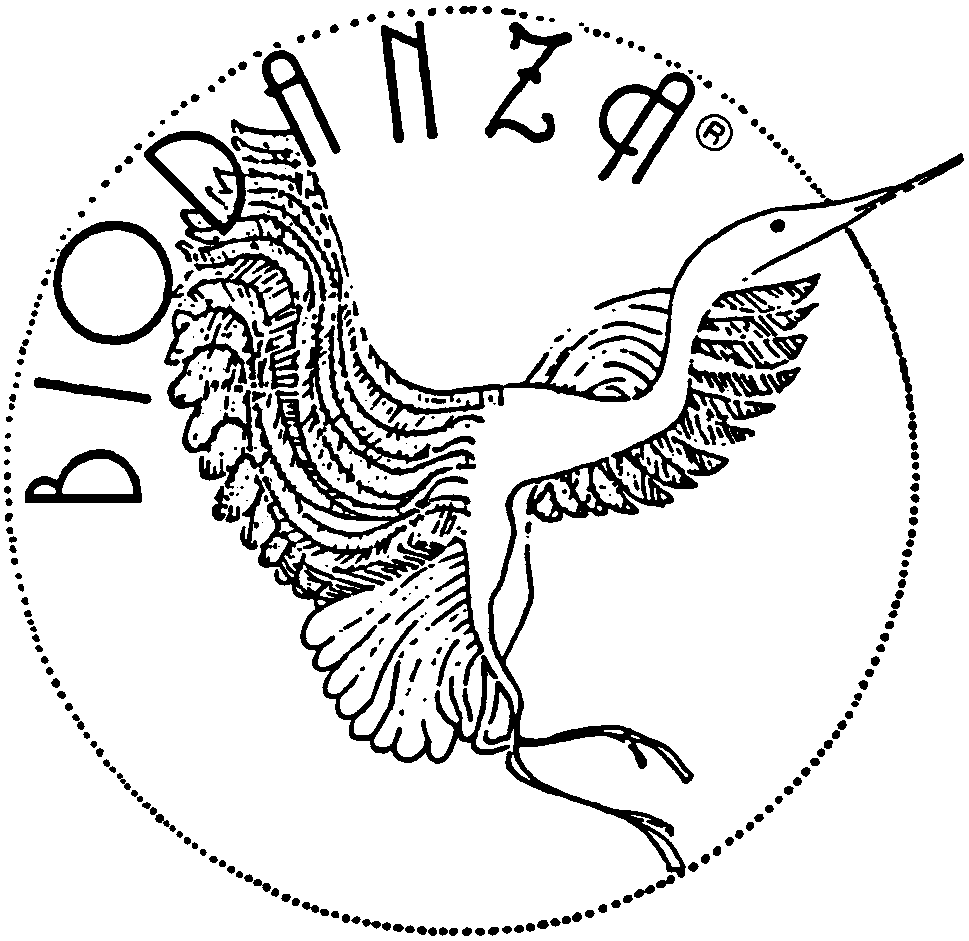 BIODANZA: BIODANZA