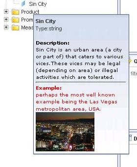 Biassed Intelligence: SAP BOXI, BI 4: Formating Universe Descriptions ...