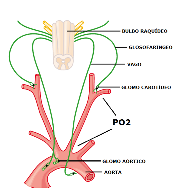 Medical Review : noviembre 2016
