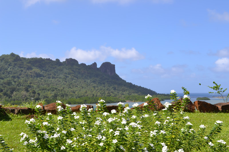 Aljure's Kwaj Venture: New Year's Trip to Micronesia's Pohnpei