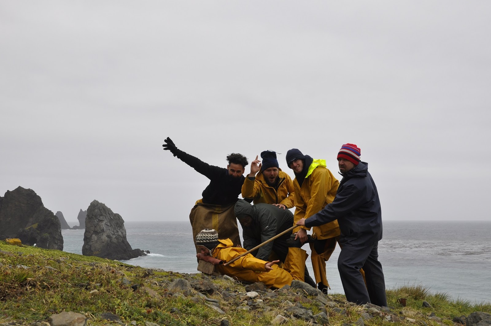 Blog officiel du district de Crozet - TAAF: Manip otarie à la Mare aux ...