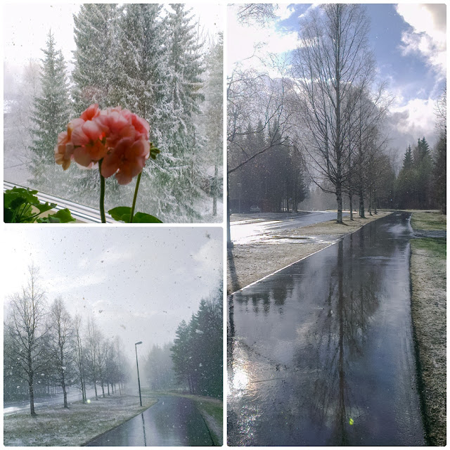 Crazy May |Blissful Solitary Wanderings