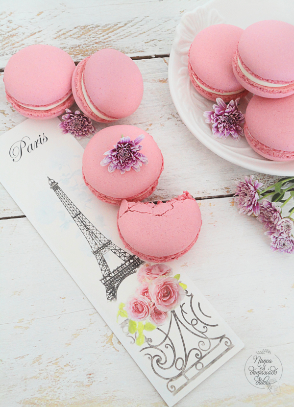Macarons de Fresa — Nunca es demasiado dulce