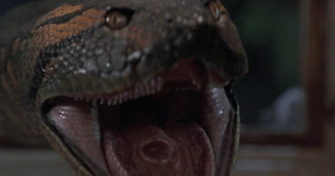 Anaconda 1997 Snake