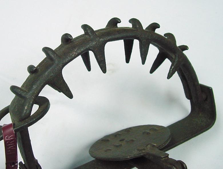 Devotions: Animal Traps