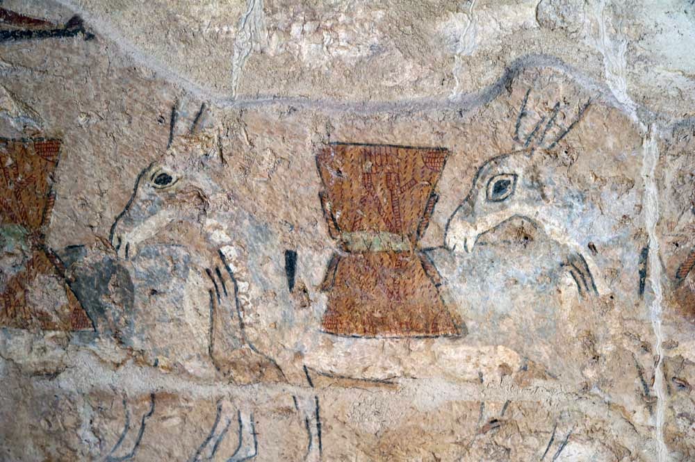 Imagenes de Egipto: The tomb of Ankhtifi at Mo'alla