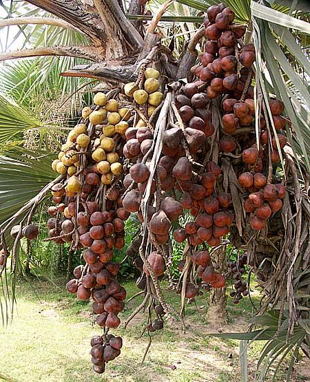 Articles sur l'Egypte et son histoire - Documentaries about Egypt and ...