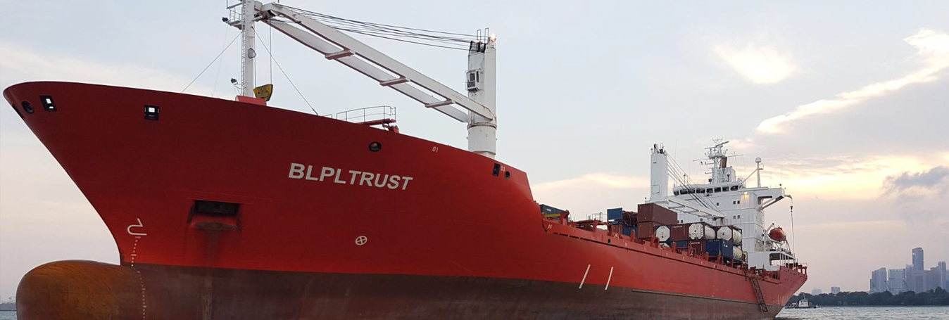 BLPL Singapore Container Tracking