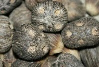 Olodumare: Ejiogbe Ese Ifa 4