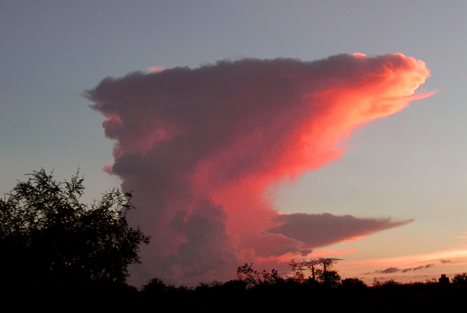 Langit kalimireng: Jenis-jenis Awan