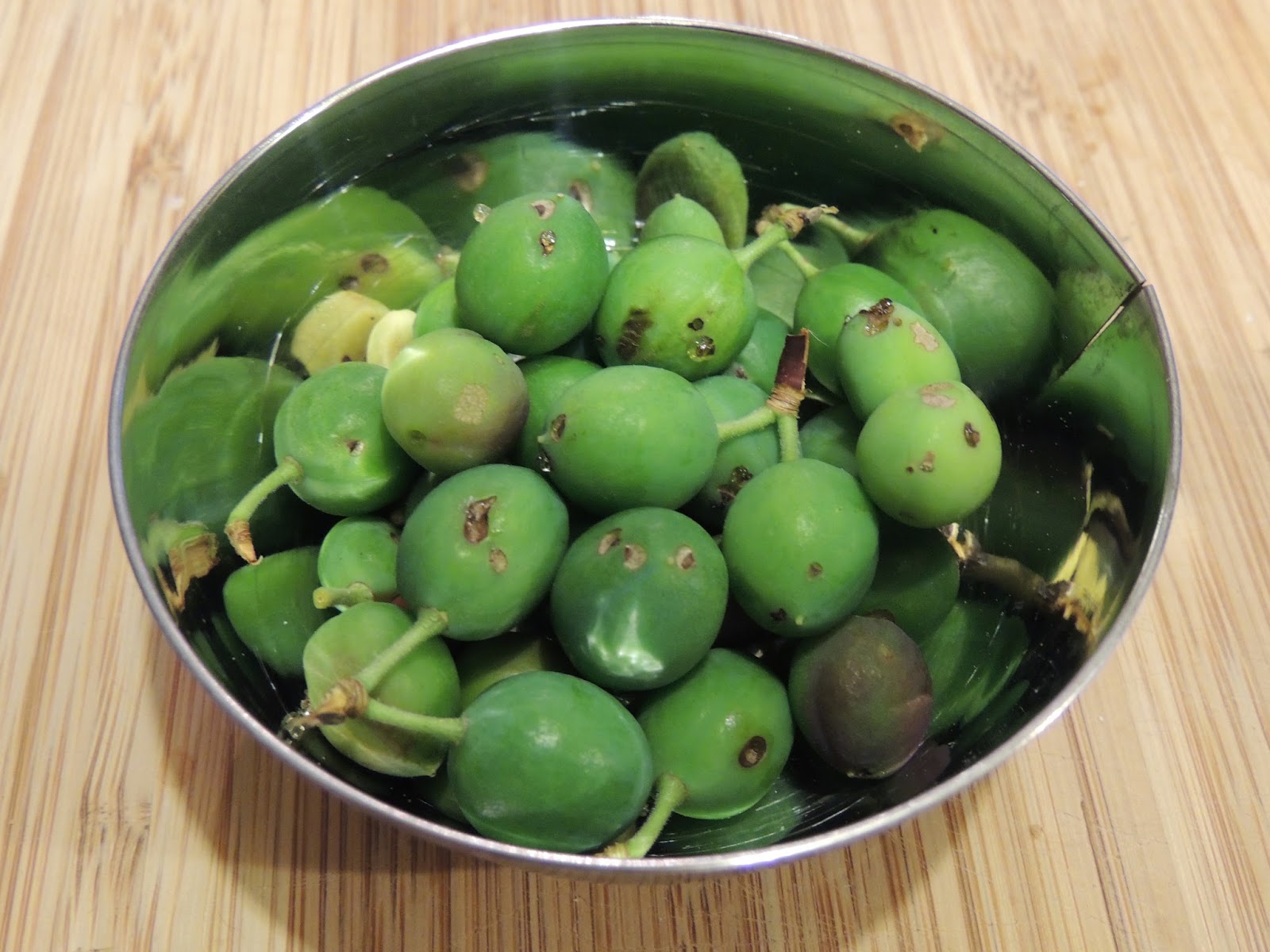 Durham Council of Garden Clubs: Pest Spotlight: Plum Curculio