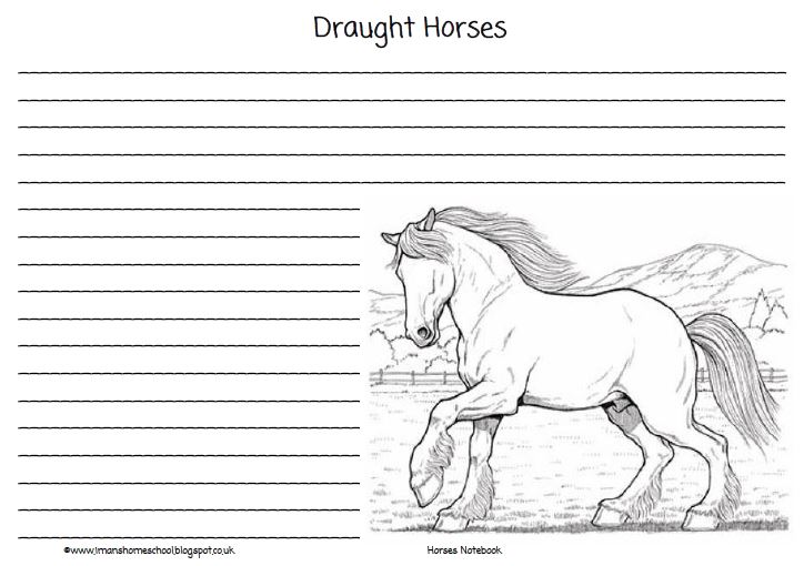 Iman's Home-School: Horses Notebook & Activity Pack