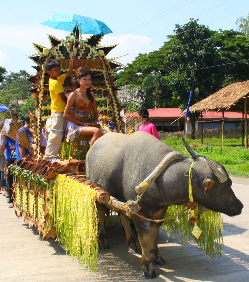 Brooke's Point, Palawan.Com: Brooke's Point celebrates 62nd Foundation ...