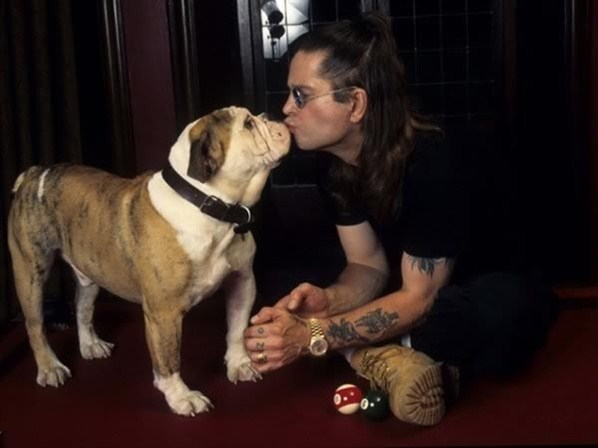 Planet Rock: Los rockeros y sus perros