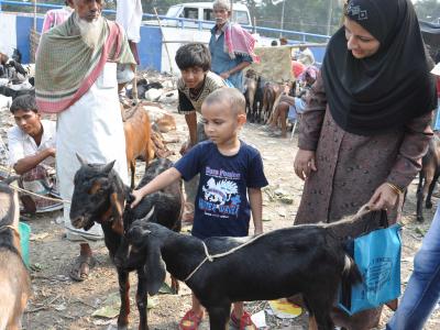 Photos: Eid-al-Adha / Eid-uz-Zuha / Bakrid Festival Celebrations in India
