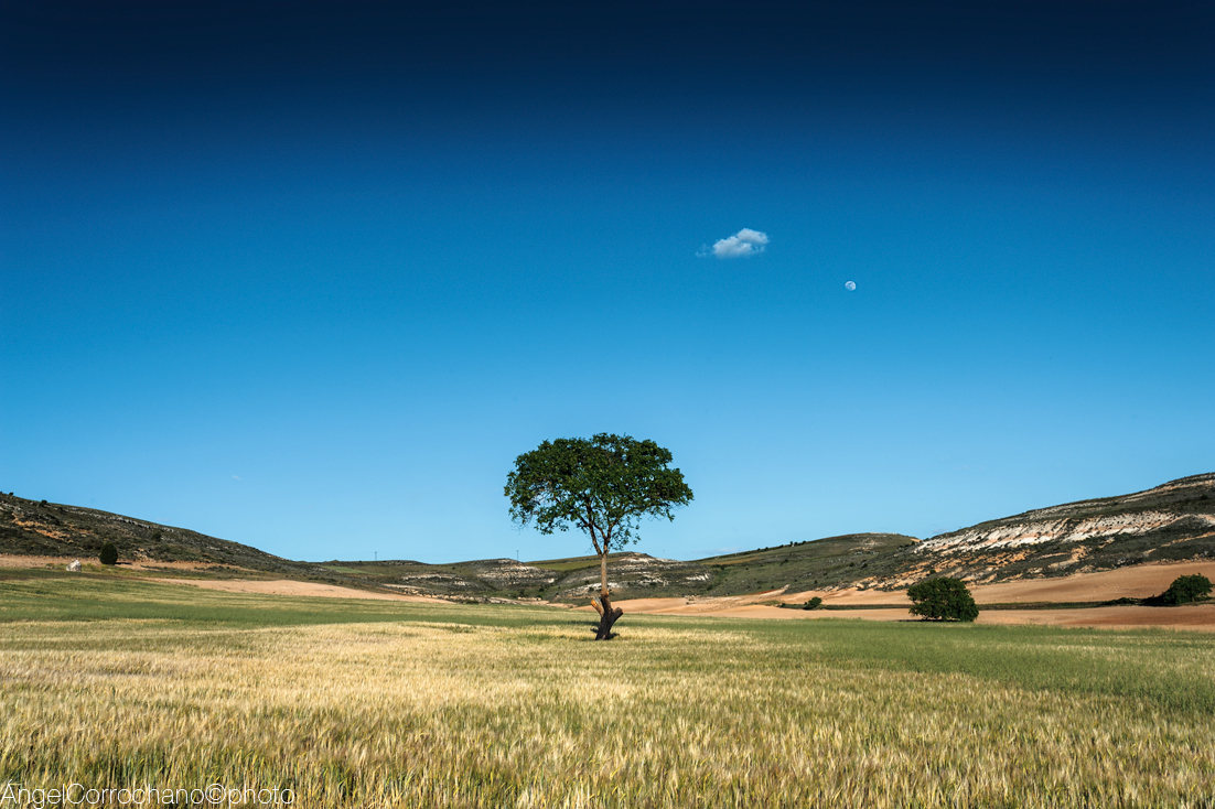 Por los que deciden irse, … por los que deciden quedarse.