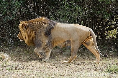 Mundo Animal: 2012-06-17