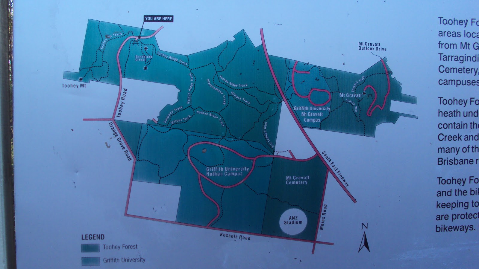 Running with horses: Exams over. Back to running again.