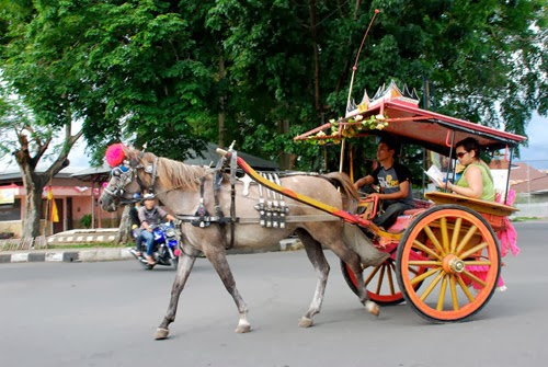 LEGENDA-unik: Sejarah Kuda Bendi dari Solok