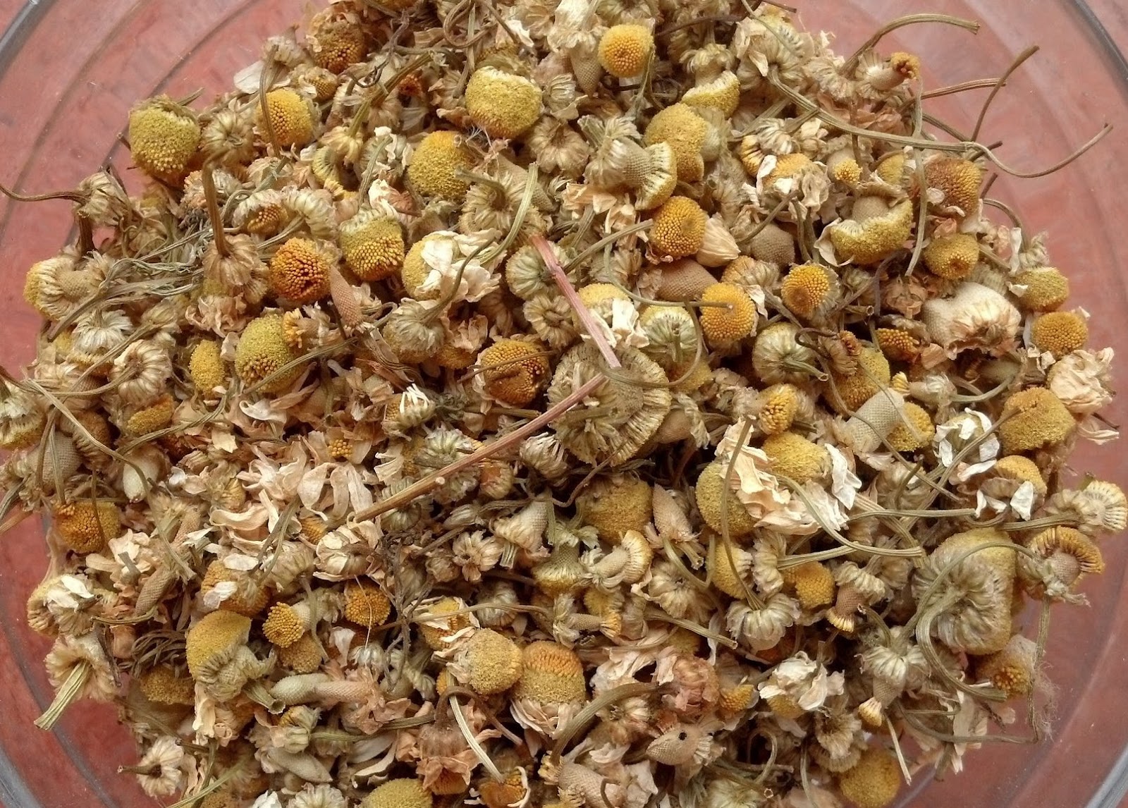 Back To The Basics Homemade Chamomile Tincture Recipe